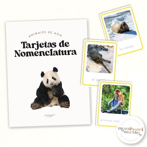 ANIMALES DE ASIA Montessori Tarjetas De Nomenclatura | Recursos En ...
