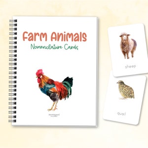 FARM ANIMALS Montessori Nomenclature Cards, Montessori Homeschool Prek ...