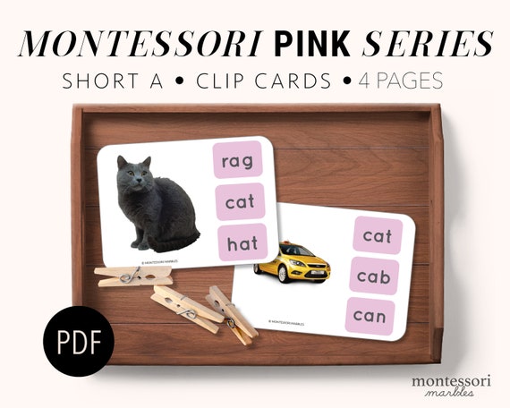Montessori Pink Series Name the Objects SHORT A Flash Card - Etsy