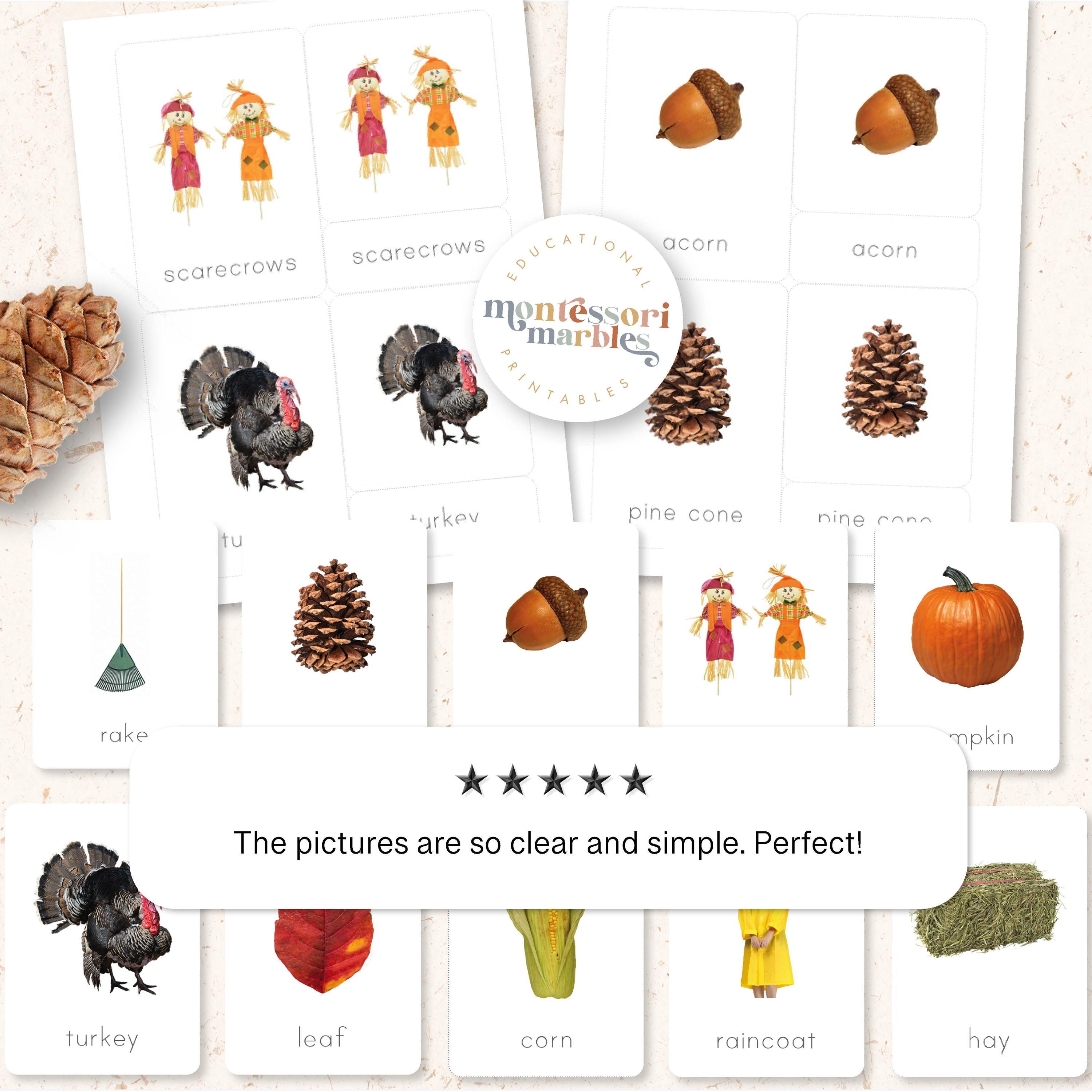 Fall Montessori Nomenclature Cards | Autumn Vocabulary Learning ...