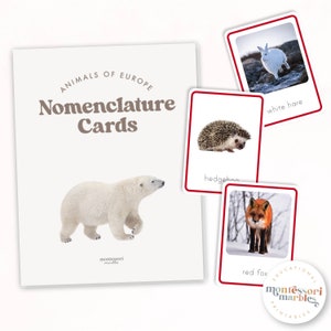 ANIMALS OF EUROPE Montessori Nomenclature Cards | Nature-based Learning ...