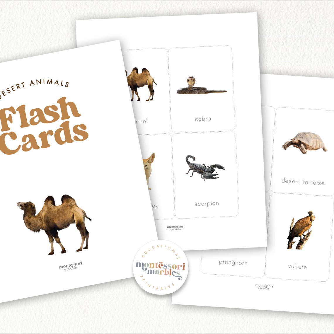 Desert Animals Flash Cards | Montessori Zoology Vocabulary | Real Photo ...
