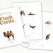 DESERT ANIMALS Flash Cards | Vocabulary Builder | Montessori Inspired ...