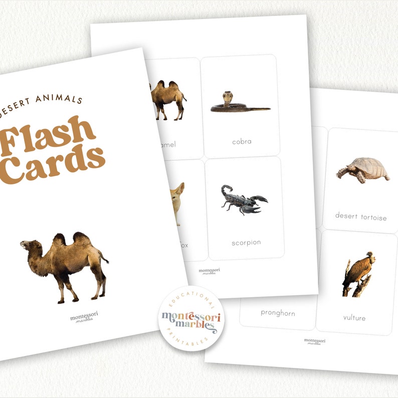 Desert Animals Flash Cards | Montessori Zoology Vocabulary | Real Photo ...