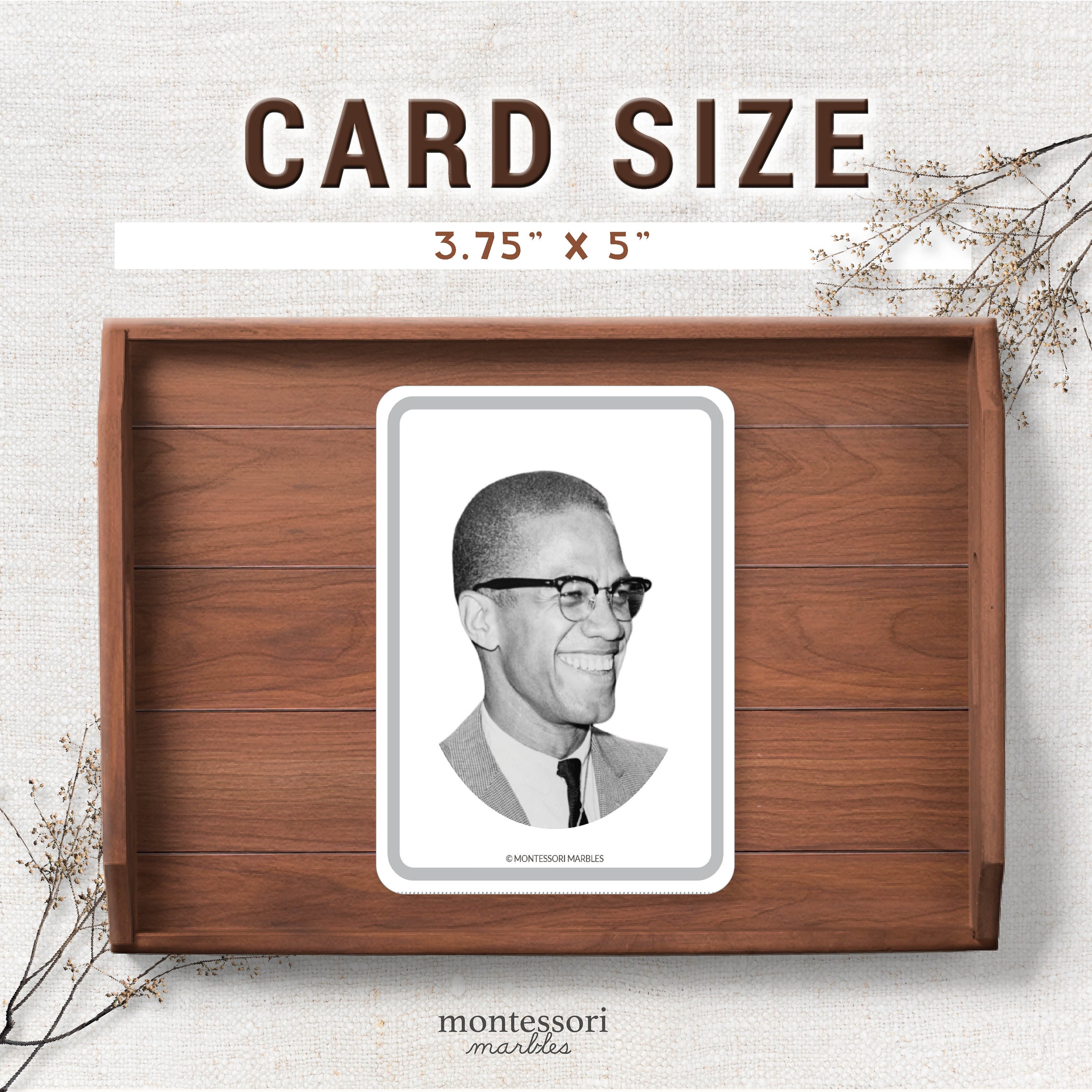 BLACK HISTORY MONTH Matching Picture Cards of Famous African | Etsy