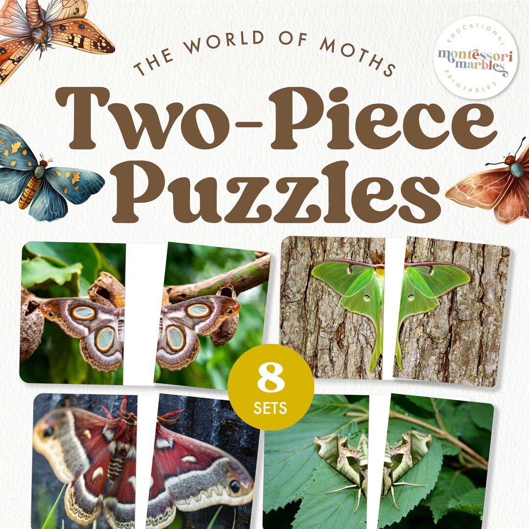 MOTHS Complete the Pictures | Montessori Activity for Toddlers | Two ...