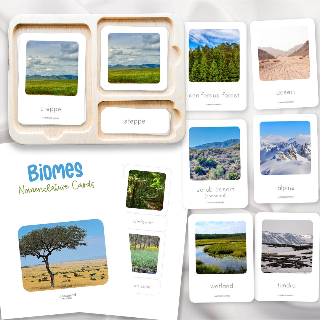 BIOMES Nomenclature Cards Montessori Inspired Cards Social Studies ...