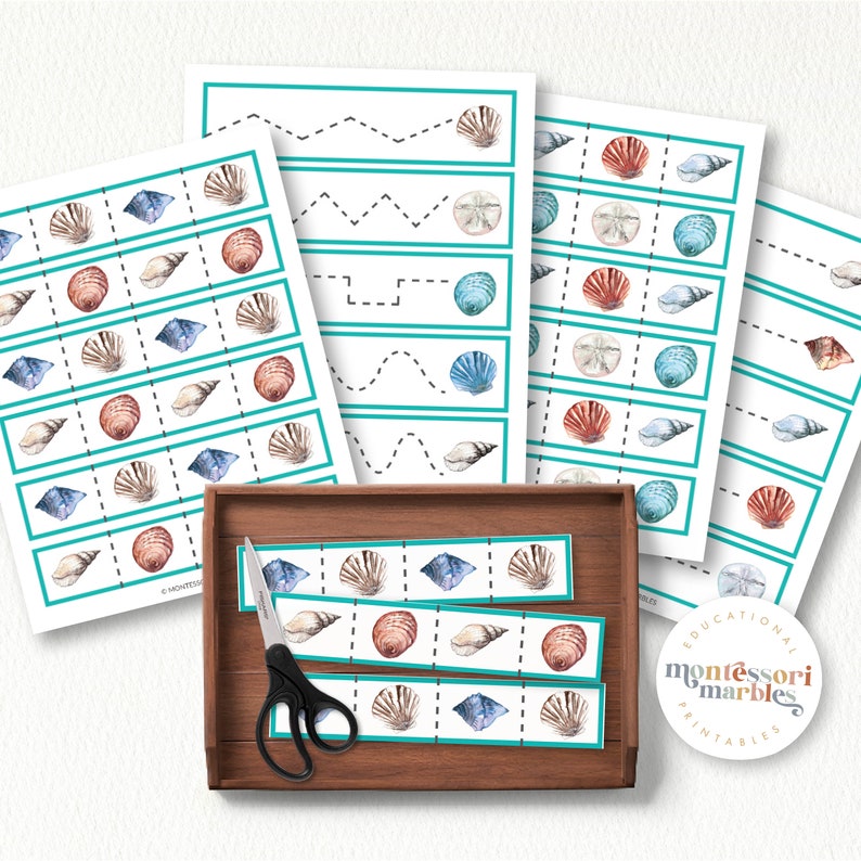 SEASHELLS Mini Bundle for Preschool & Kindergarten Age 2-4 Years Old ...