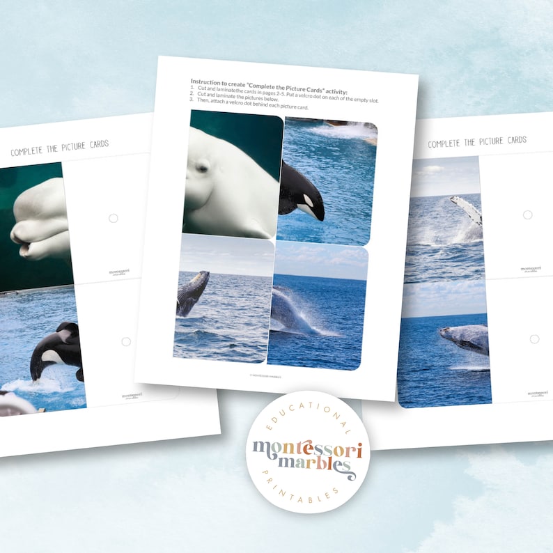 Whales Complete Pictures PDF | 8 Two-piece Puzzles Ages 2-6 | Ocean ...