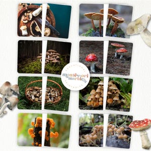 Mushroom Activity Bundle | Montessori Science | Nature Study Workbook ...