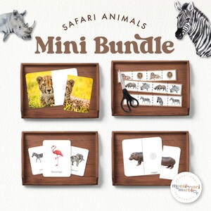 SAFARI ANIMALS Mini Bundle | 4 Sensory and Fine Motor Activities for ...