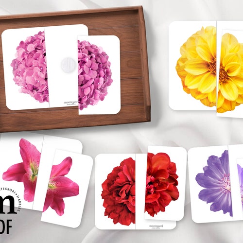 SPRING Shadow Matching Cards Montessori Printable - Etsy