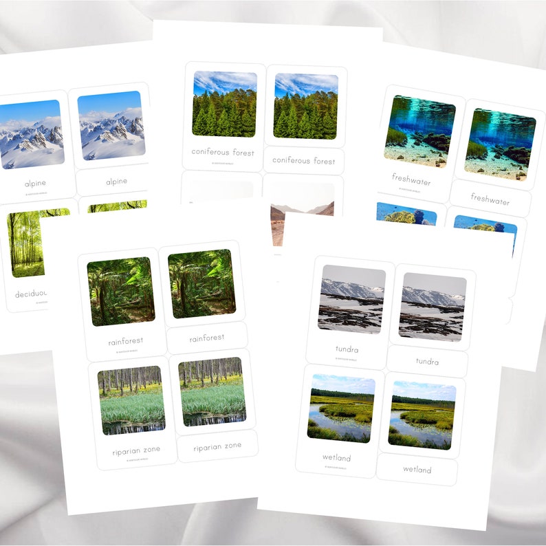 BIOMES Nomenclature Cards Montessori Inspired Cards Social - Etsy