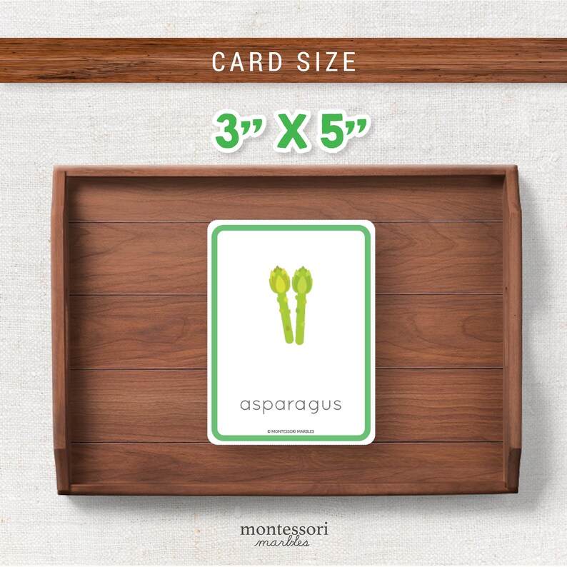 VEGETABLE Flash Cards Montessori Resources Preschool Prek - Etsy