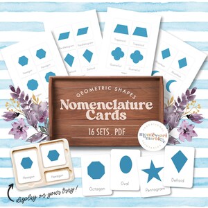 GEOMETRIC SHAPES Nomenclature Cards Montessori Inspired Resources ...