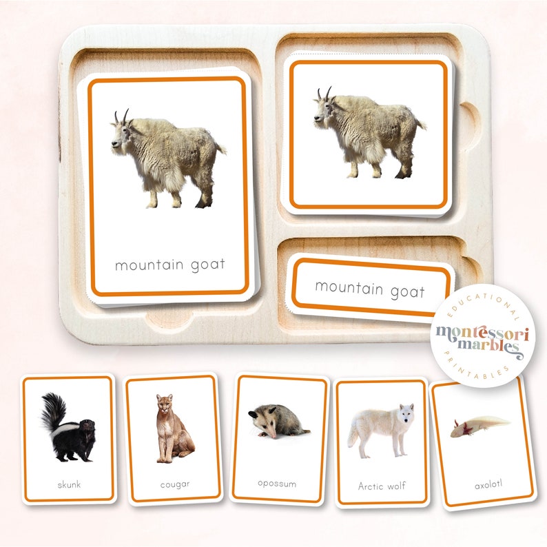 ANIMALS of NORTH AMERICA Montessori Nomenclature Cards Nature-based ...