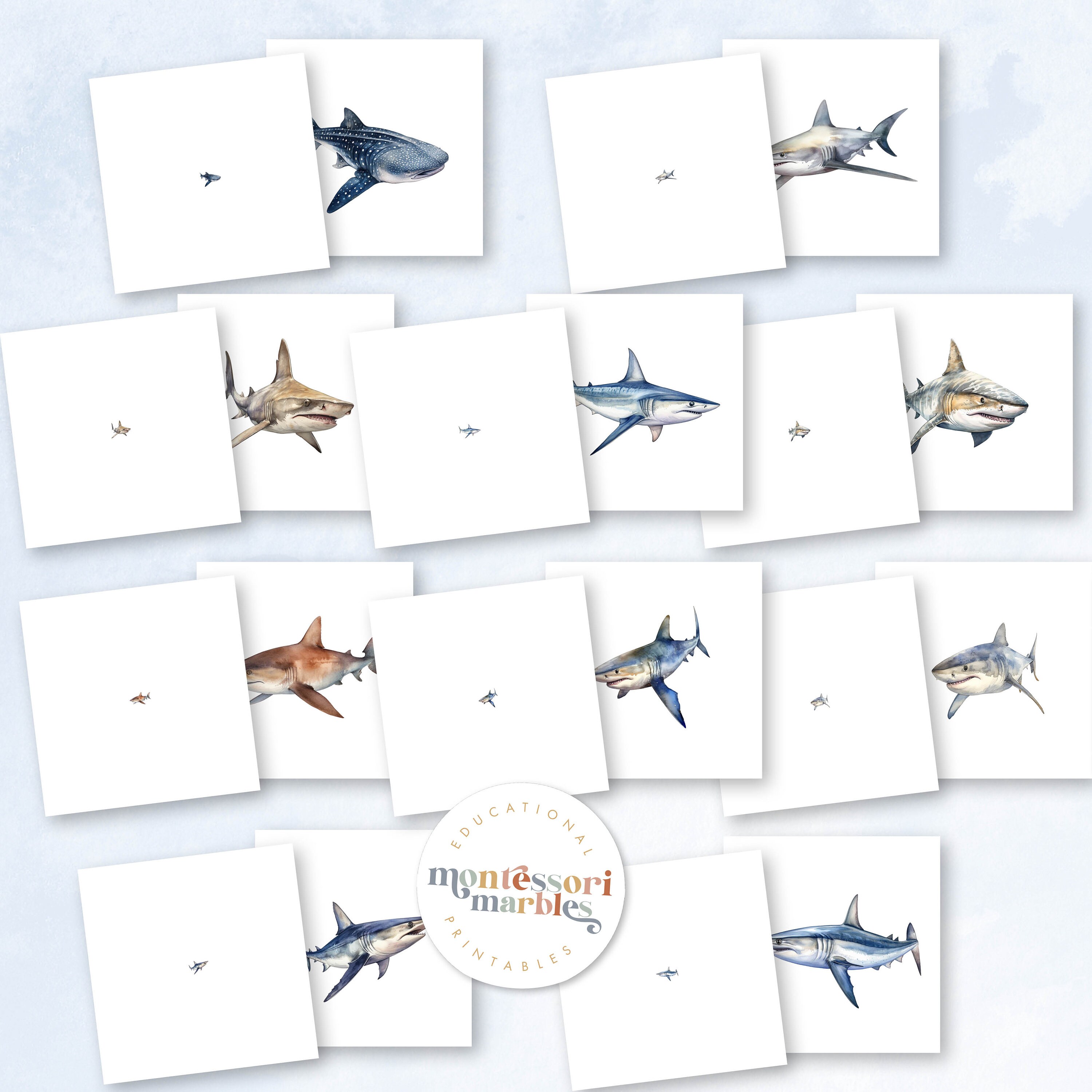 SHARKS Magnifying Matching Game Montessori at Home Using Magnifying ...