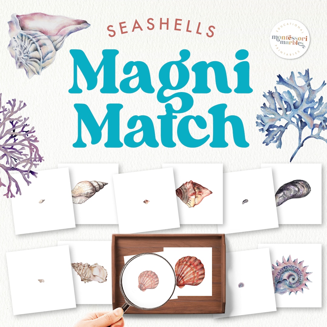 SEASHELLS Magnifying Matching Game | Montessori at Home Using ...