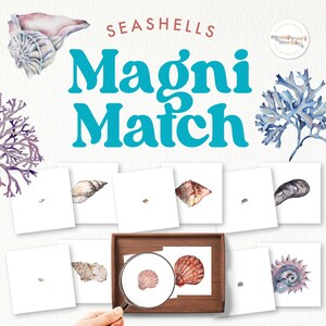 SEASHELLS Magnifying Matching Game | Montessori at Home Using ...