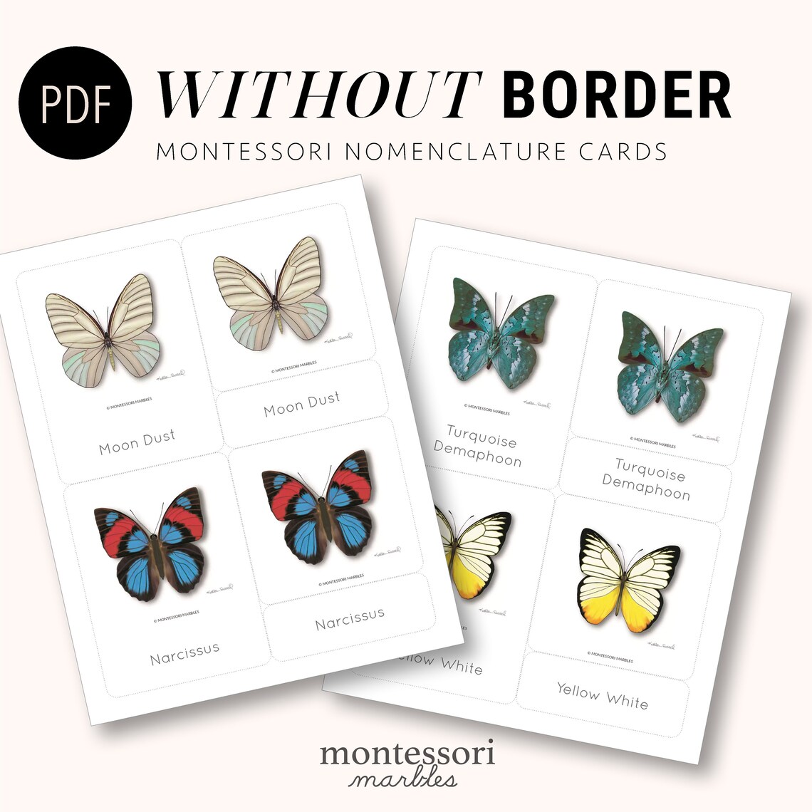 BUTTERFLY Montessori Nomenclature Cards Types of Butterflies | Etsy