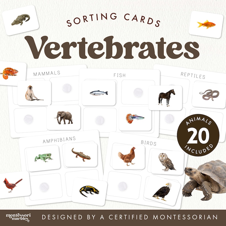 Vertebrates Classification Sorting Cards | Montessori Science Activity ...