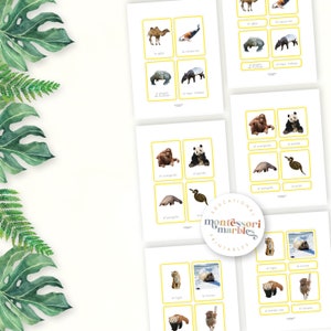 ANIMALES DE ASIA Montessori Tarjetas De Nomenclatura | Recursos En ...