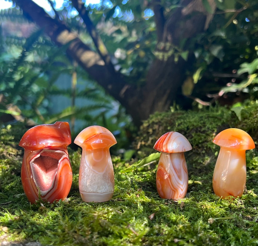 Carnelian Mushroom Carvings, Druzy Agate Fungi, Red Chalcedony, Orange ...