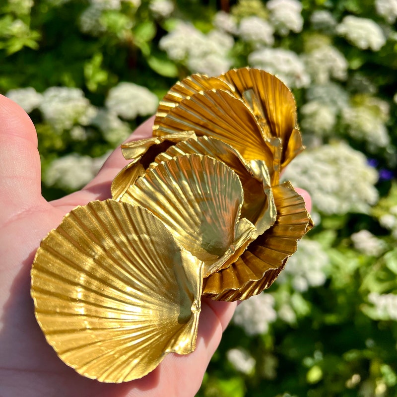 Painted Seashells - Etsy