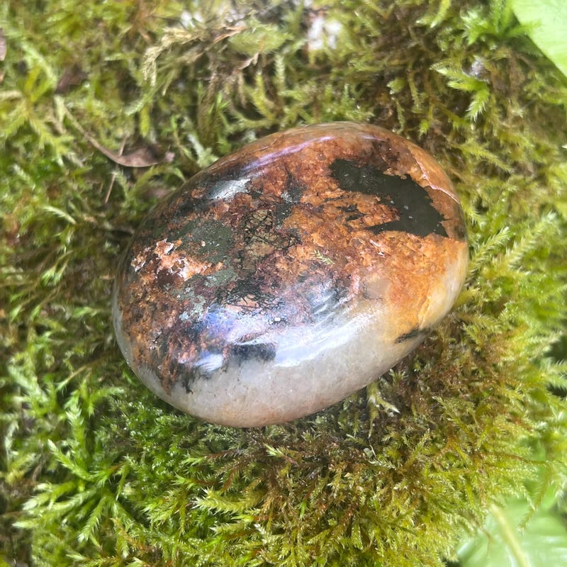 Lion's Gate Quartz - Etsy