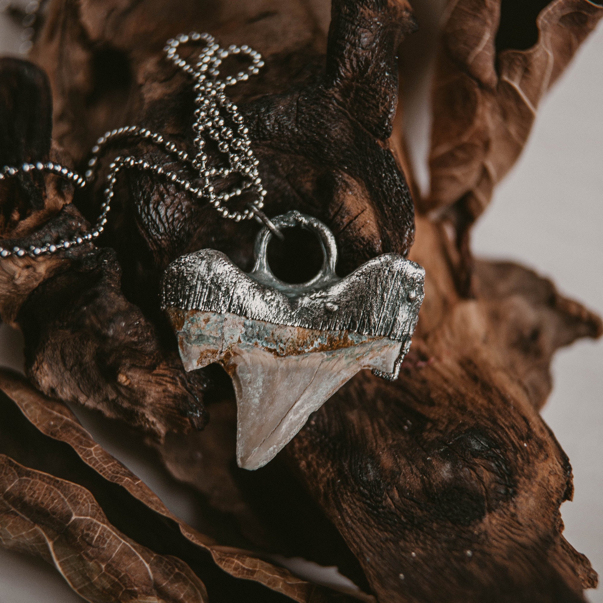 Silver Pendant Jewelry With Tooth Megalodongift for Woman - Etsy