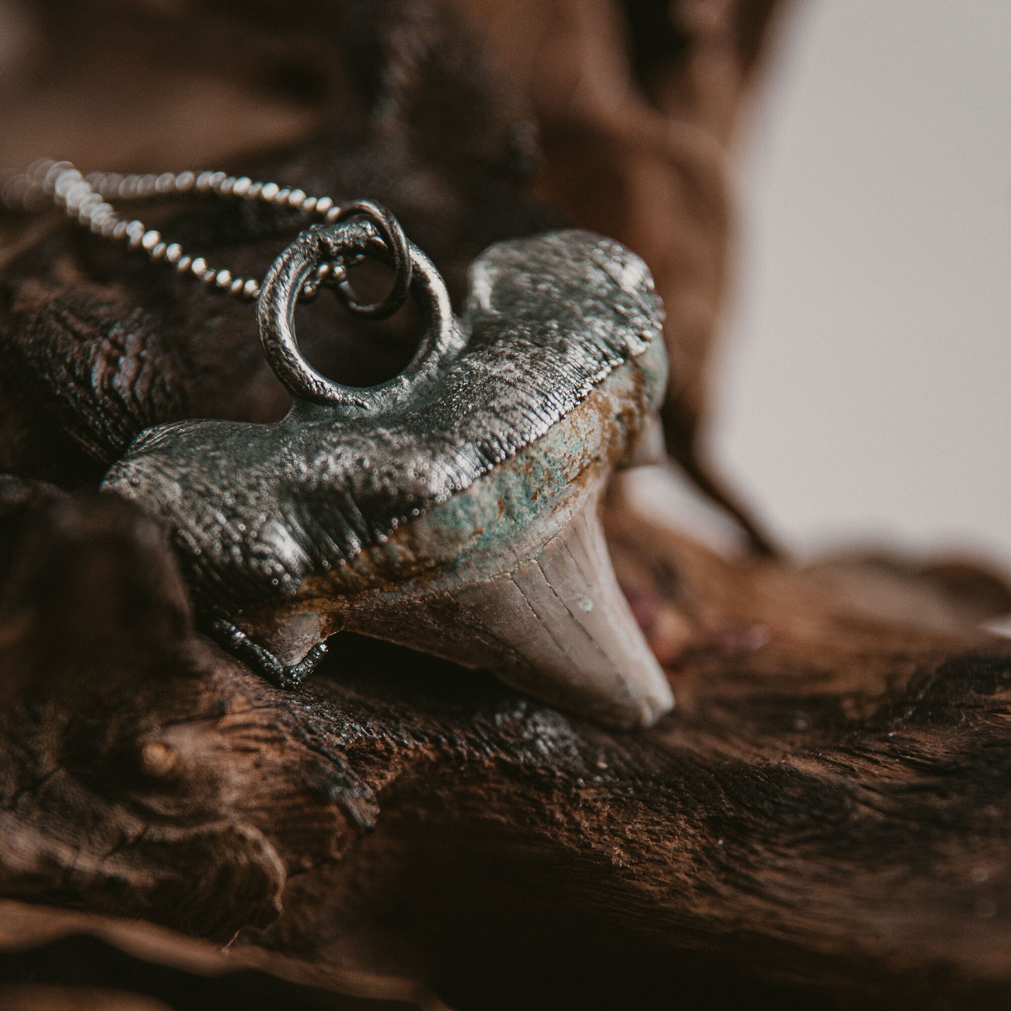 Silver Pendant Jewelry With Tooth Megalodongift for Woman - Etsy