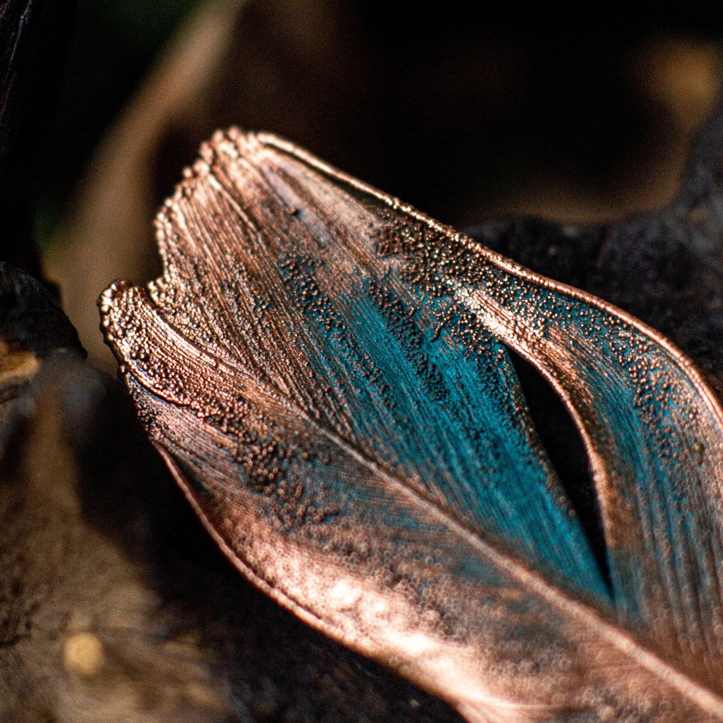 Copper Jewelry Pendant Feathergift to a Woman Jewelry - Etsy