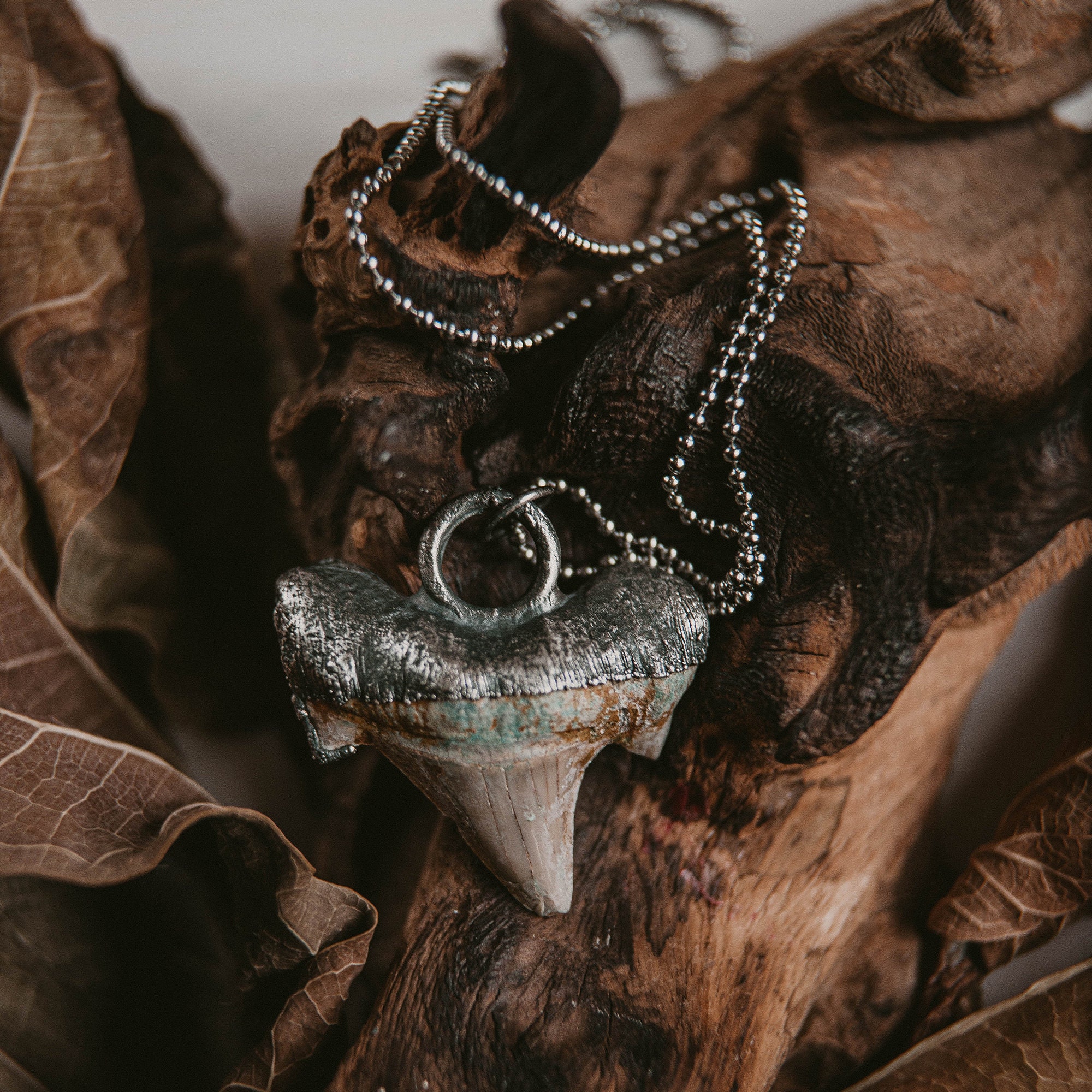 Silver Pendant Jewelry With Tooth Megalodongift for Woman - Etsy