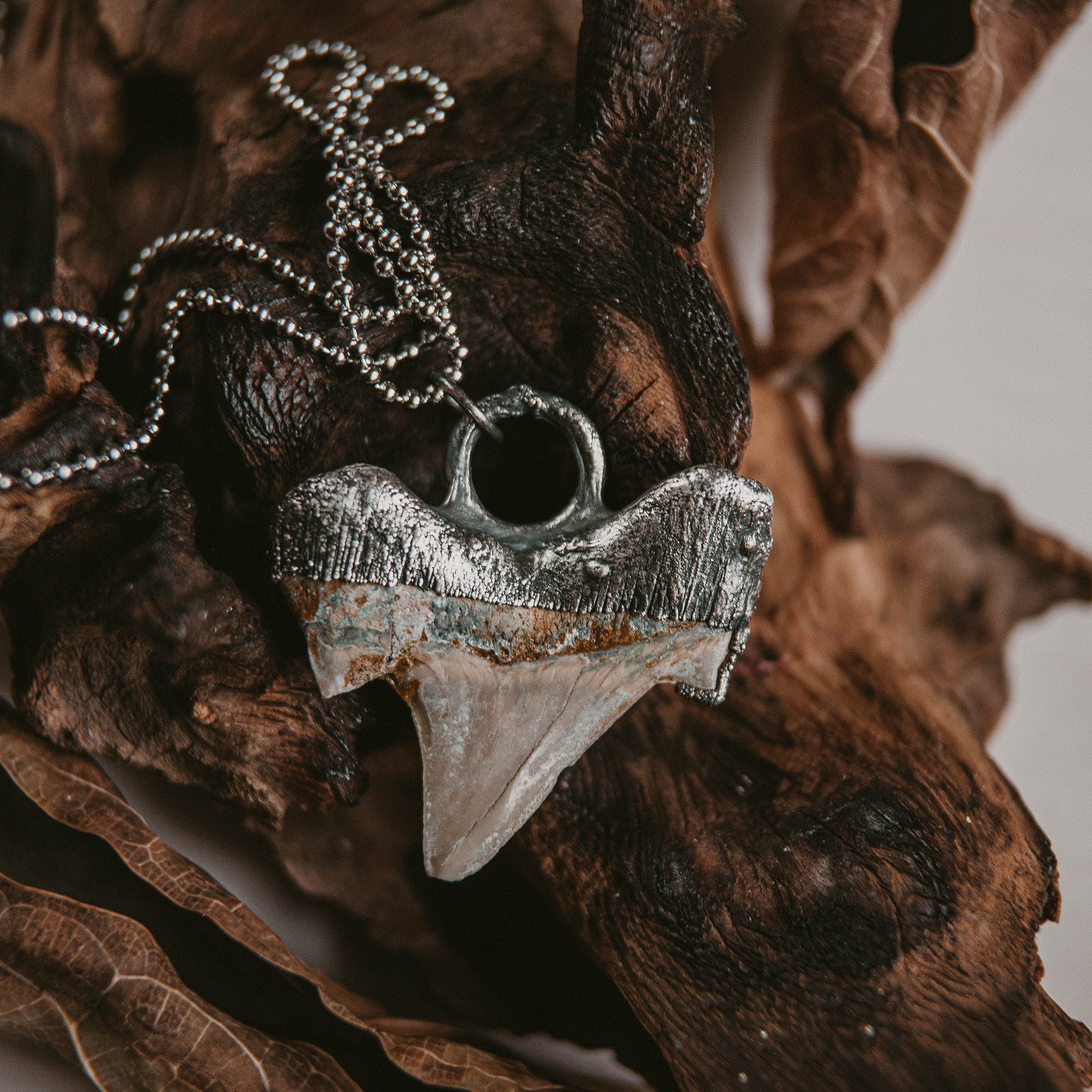 Silver Pendant Jewelry With Tooth Megalodongift for Woman - Etsy