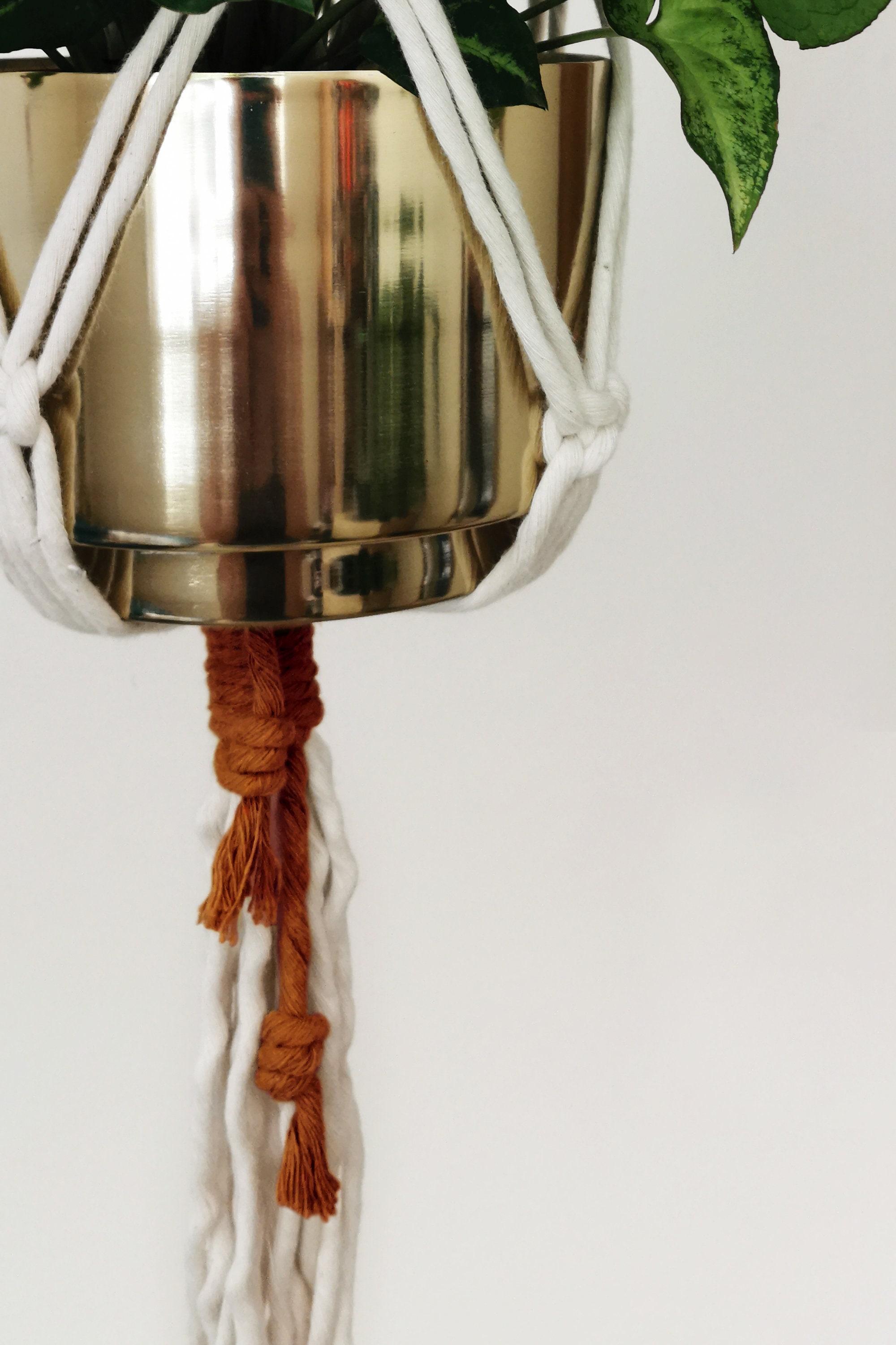 Macrame Plant Hanger Hanging Planter Macrame Pot Holder | Etsy