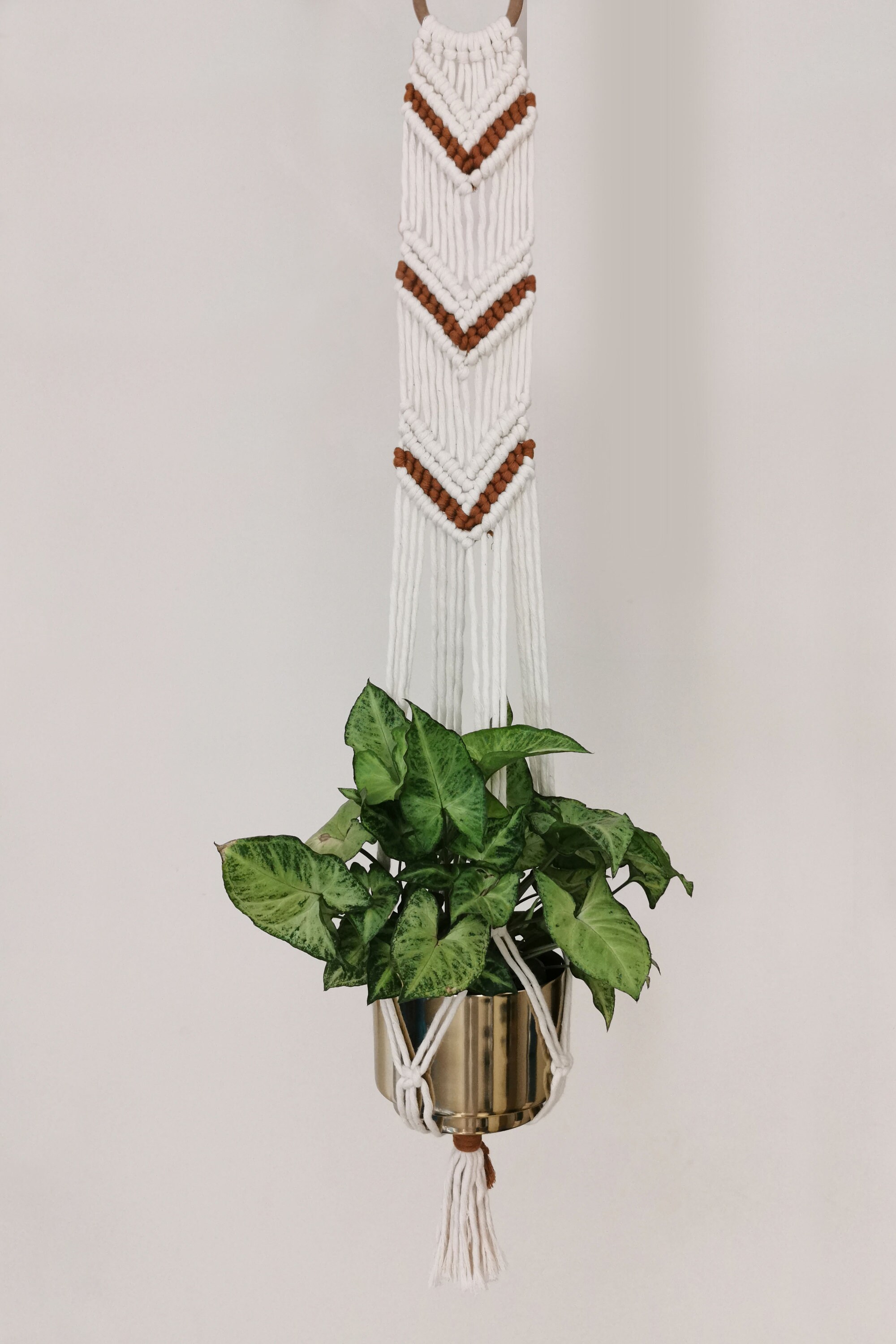 Macrame Plant Hanger Hanging Planter Macrame Pot Holder | Etsy