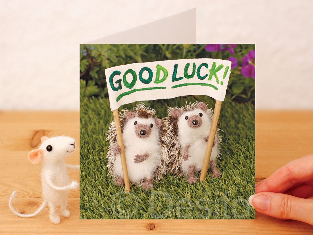 Whimsical Greetings Card - Good Luck (exams, Driving Test, New Job Etc ...