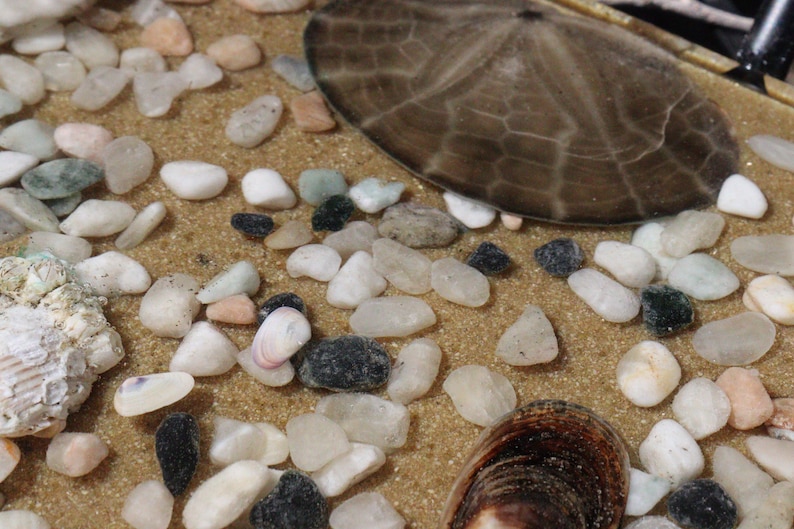 River Rock & Shells Charcuterie Board | Beach Charcuterie Board | Beach Serving Tray | - Etsy