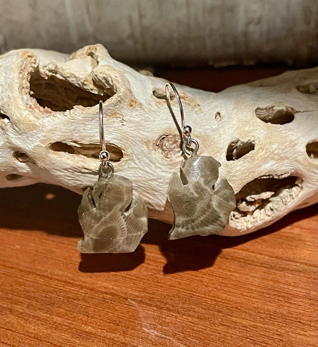 Petoskey Stone Mitten Earrings - Etsy