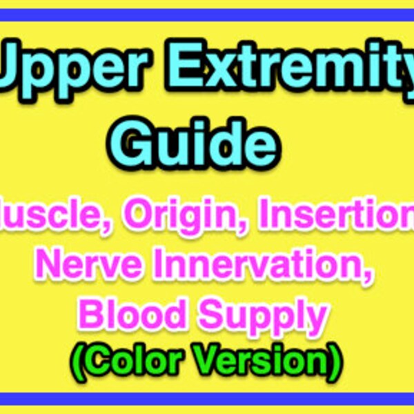 Upper Extremity Anatomy Muscles - Etsy