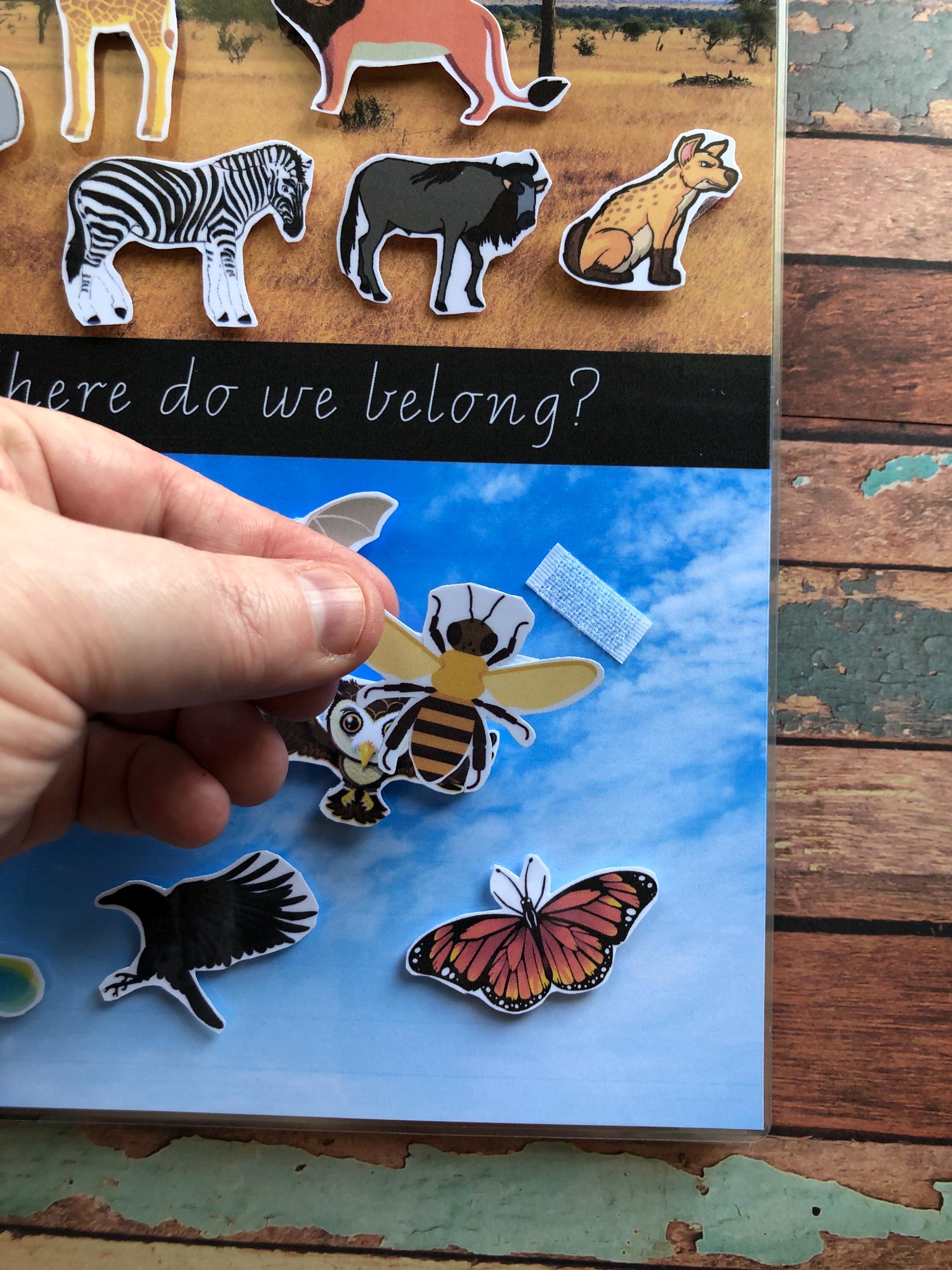 Printable Animal Busy Book, Activity Folder, Activity Book, Educational ...