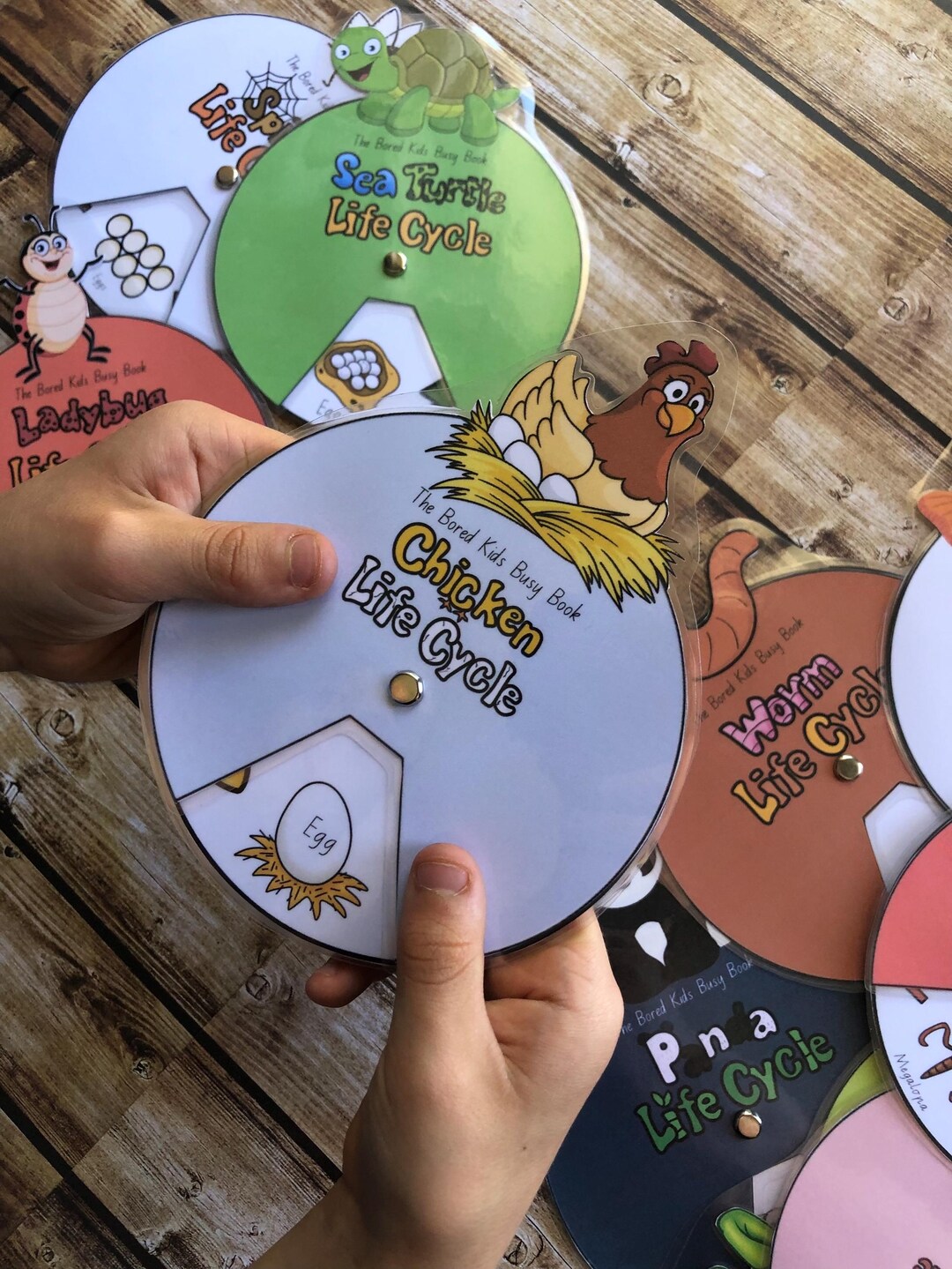 Lifecycle Activity Busy Bag, Toddler Homeschool Activity Pack ...