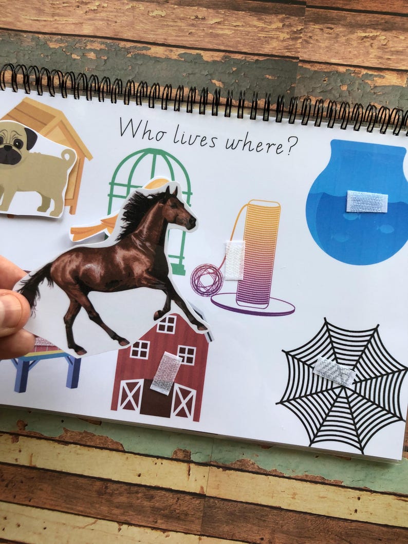 Printable Animal Busy Book, Activity Folder, Activity Book, Educational ...