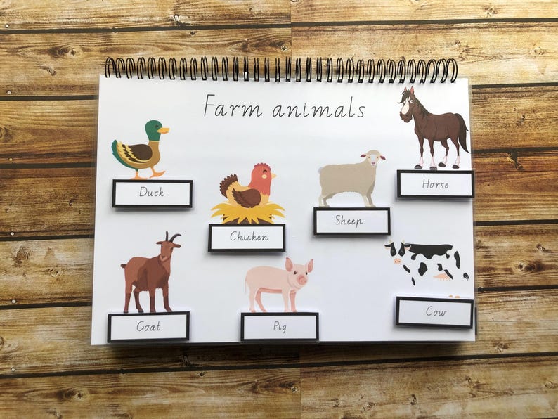 Digital Animals Busy Book, Preschool Folder, Homeschooling, Homeschool ...