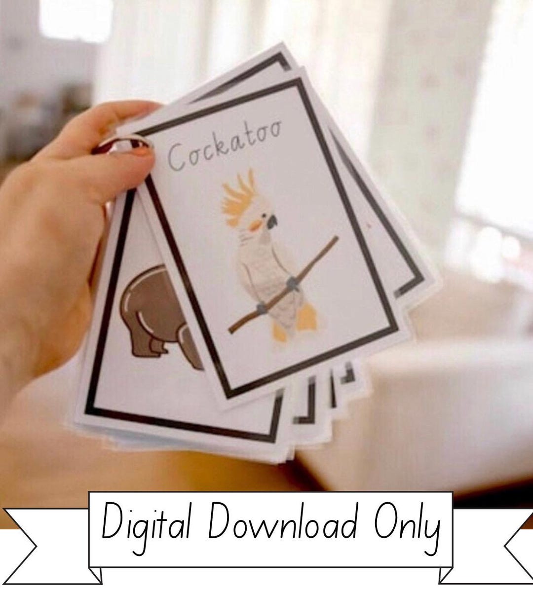 Australian Animals Flash Cards: Fun Facts for Kids (digital Download ...