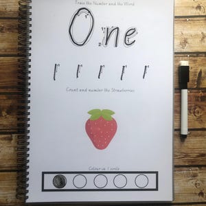 Numbers Busy Book, Printables, Preschool Printable, Homeschool Activity ...