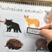 Digital Animals Busy Book, Preschool Folder, Homeschooling, Homeschool ...