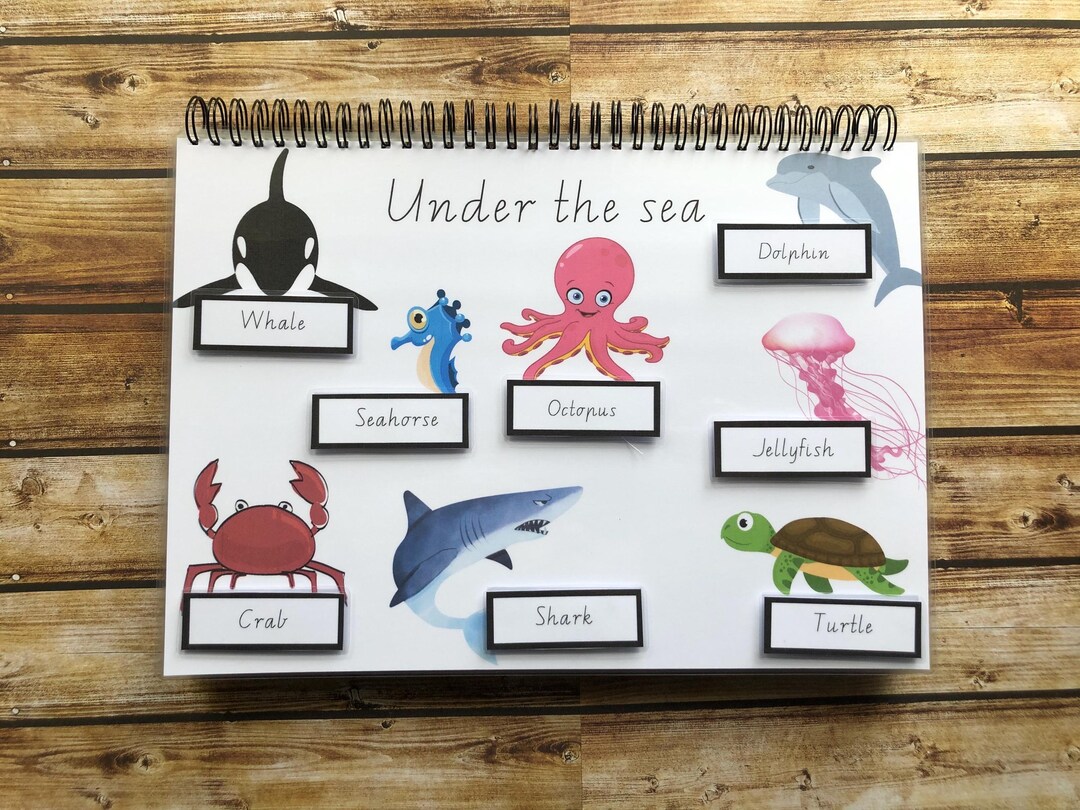 Digital Animals Busy Book, Preschool Folder, Homeschooling, Homeschool ...