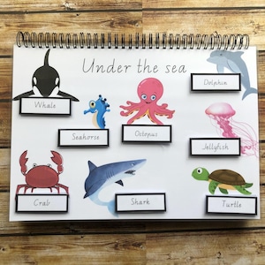 Digital Animals Busy Book, Preschool Folder, Homeschooling, Homeschool ...