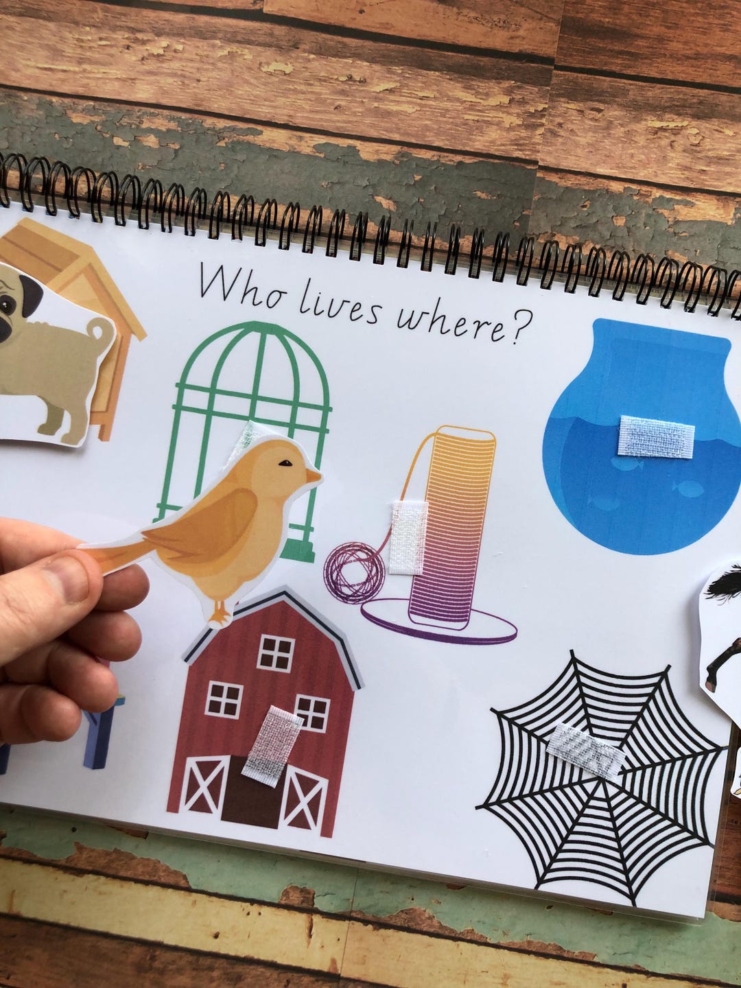 Printable Animal Busy Book, Activity Folder, Activity Book, Educational ...